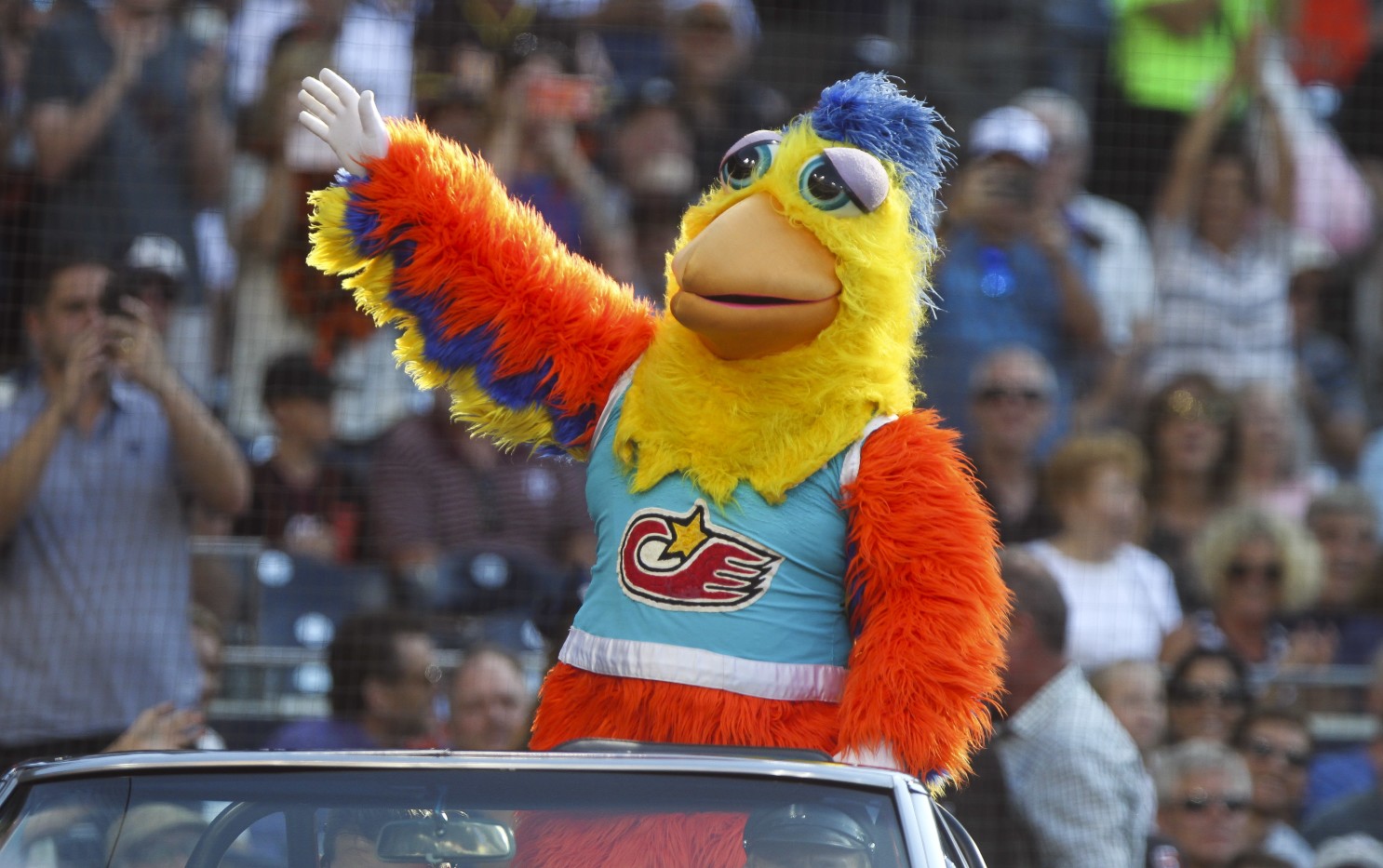GOAT Mascot: The Chicken – James Vachowski