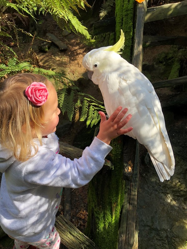 Staglands Wildlife Reserve – James Vachowski